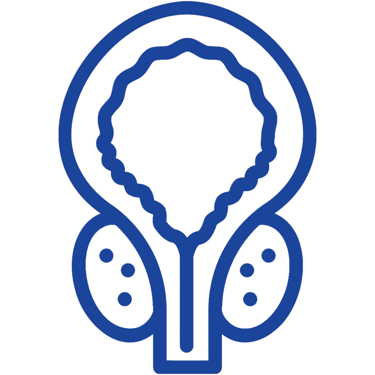 UroNav Prostate Biopsy - Urology Care | Singing River Health System